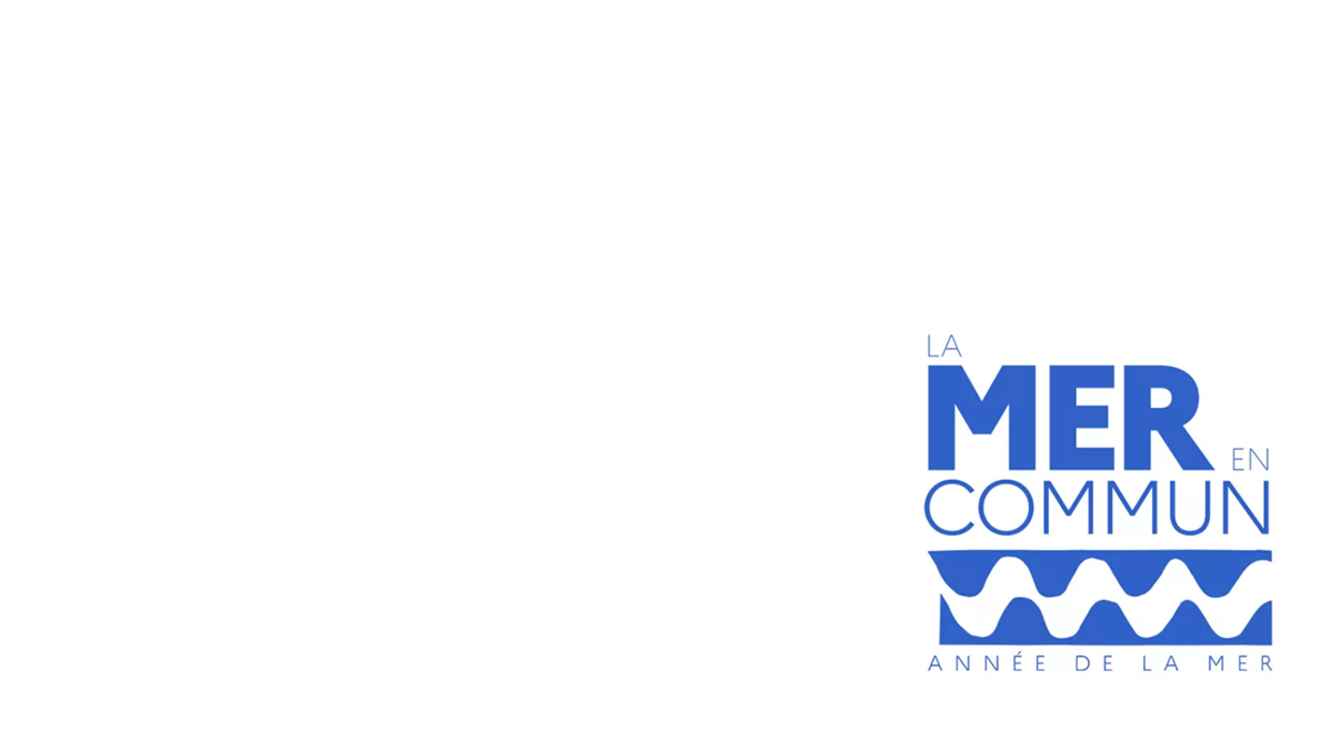 L'année de la mer | Ministère de l'Education Nationale, de l ...